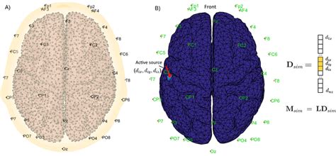 2 A Visualization Of The Forward Head Model Used In Simulations Eeg Download Scientific