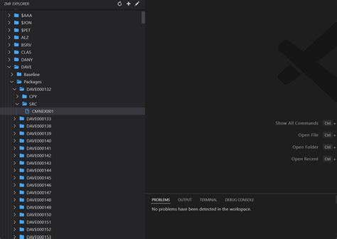 VSCode Explorer Opens A Source Language File Z Open Editor Reports An Error And Changes The