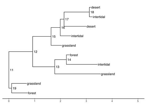 Zool710 Data Science In R For Biologists The Ggtree Verse
