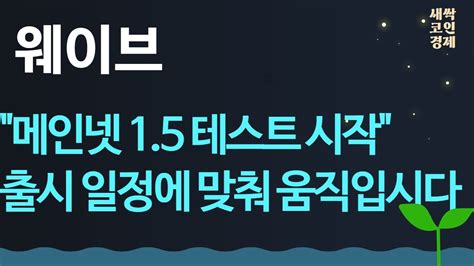 웨이브 코인 메인넷 15 테스트 시작 출시 일정에 맞춰 움직입시다 웨이브코인분석 웨이브코인시세 웨이브코인호재 Youtube