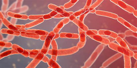 Anthrax Rumors Spread That Reawaken America Tour Was Poisoned