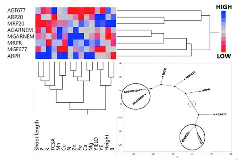 Hierarchical Agglomerative Cluster Analysis And Constellation Plot For Download Scientific