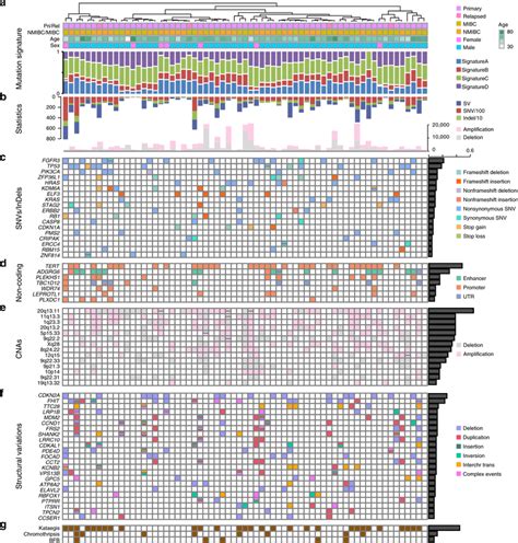 Multidimensional Genomic Mutational Landscape In Ubc A Genome Wide