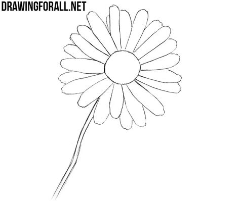 How To Draw Flowers Easy