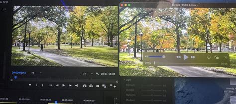 Color Issues Importing Iphone Cinematic Mode Rpremierepro