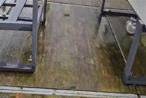 Marry Meridaa Gärtner Beobachtet Mich Heimlich — Mdh Stream