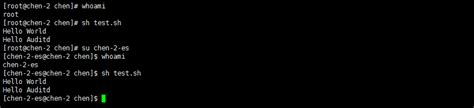 linux审计工具auditd使用与日志收集 linux nf csdn博客