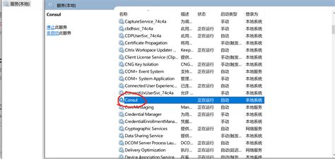 consul consul启动 csdn博客
