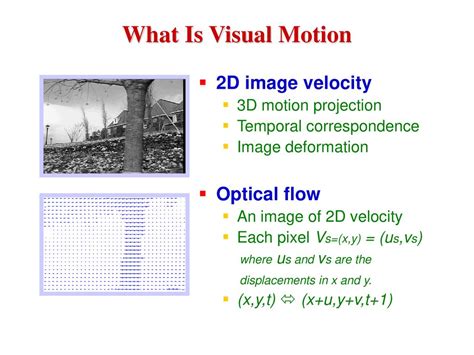 Robust Visual Motion Analysis Piecewise Smooth Optical Flow Ppt Download