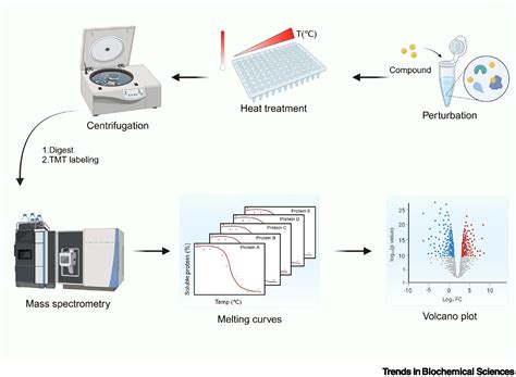 Thermal Proteome Profiling Of Protein Centric Interactions And