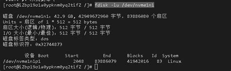 阿里云linux 挂载数据盘并docker工作目录迁移到数据盘aliyun服务器系统盘和数据盘挂载 Csdn博客