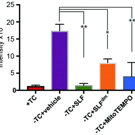 quantification of the mean fluorescence intensity signal in confocal