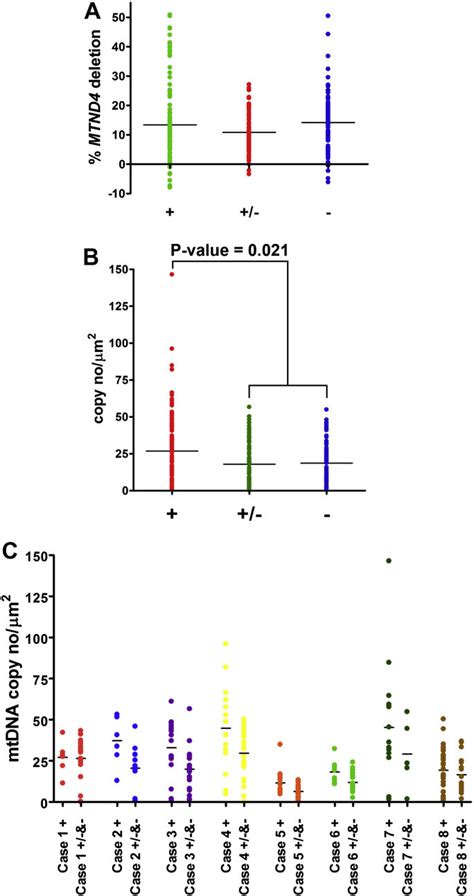 Mtdna Deletion Levels And Mtdna Copy Numbers In Single Motor Neurons
