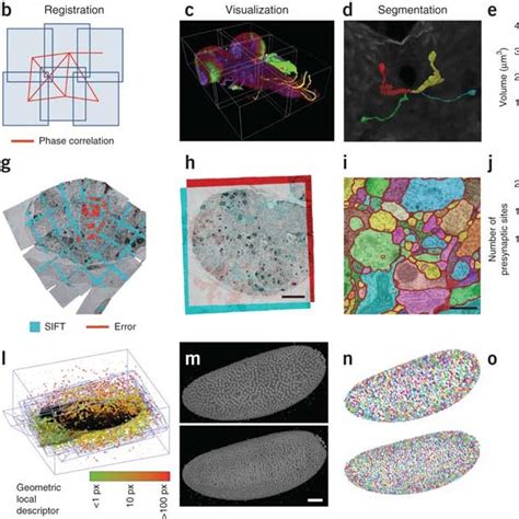 PDF Fiji An Open Source Platform For Biological Image Analysis