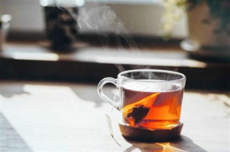 보리차 효능 칼로리 네이버 블로그