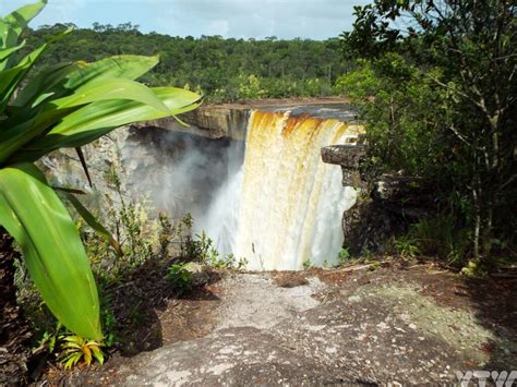 A Spectacular Kaieteur Falls Tour In Guyana Very Tasty World