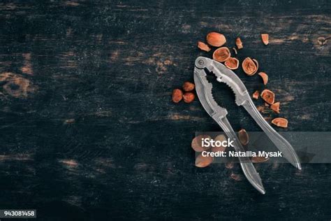 견과류와 호두 까 기 인형입니다 헤 즐 넛입니다 에 나무 배경 최고의 볼 수 있습니다 텍스트에 대 한 공간을 복사 합니다 0명에 대한 스톡 사진 및 기타 이미지 Istock