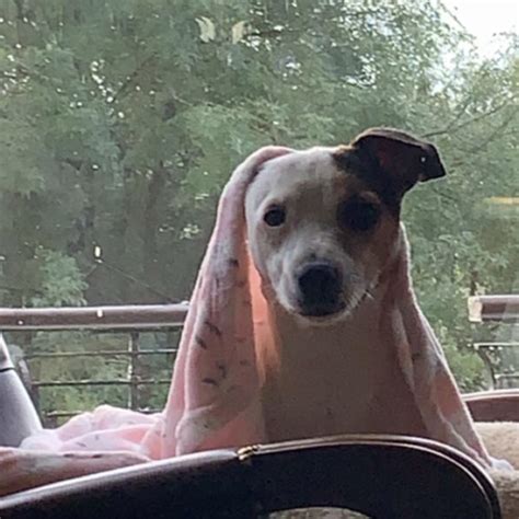 Stream Ella Jade Hutton Music Listen To Songs Albums Playlists For