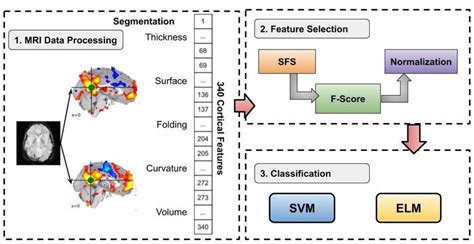 Adhd Classification Workflow With Mri Human Cortical Feature Measures