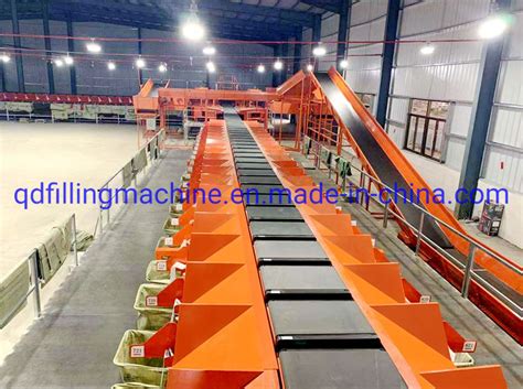 Package And Parcel Sorting Line Size Weight Barcode Sorting Machine