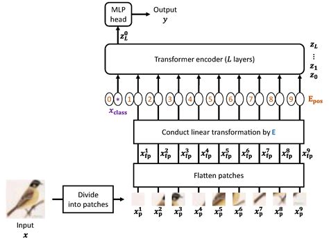 Effects Of Jpeg Compression On Vision Transformer Image Classification For Encryption Then