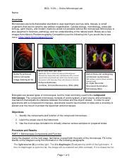 Labled Microscope Pdf BIOL L Online Microscope Lab Name Overview Microscopes Are Tools