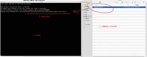 mac 如何在表格根目录下打开终端 通过导入pandas 读取excel 蚂蚁学Python