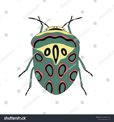 Picasso Bug Illustration Beautiful Insect Drawing Stock Illustration