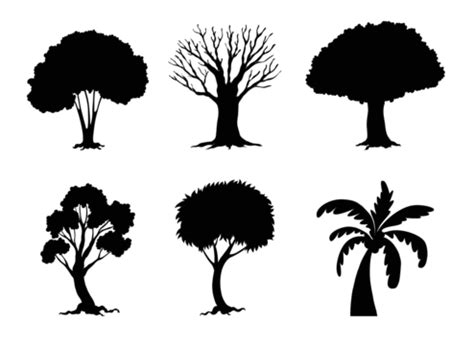Tree Outline PNG Transparent Images Free Download Vector Files Pngtree