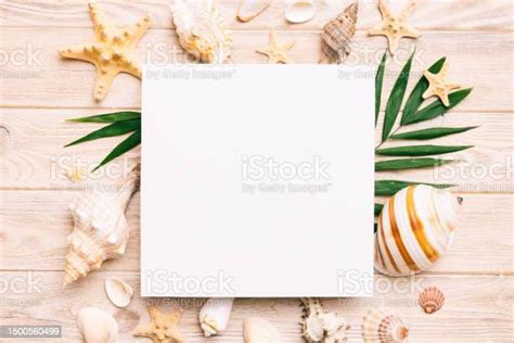 컬러 배경에 빈 인사말 카드와 빈 백서가있는 여름 시간 개념 텍스트 상단보기를위한 공간으로 분리 된 프레임 모양의 바다 해안에서 조개 껍질 0명에 대한 스톡 사진 및 기타