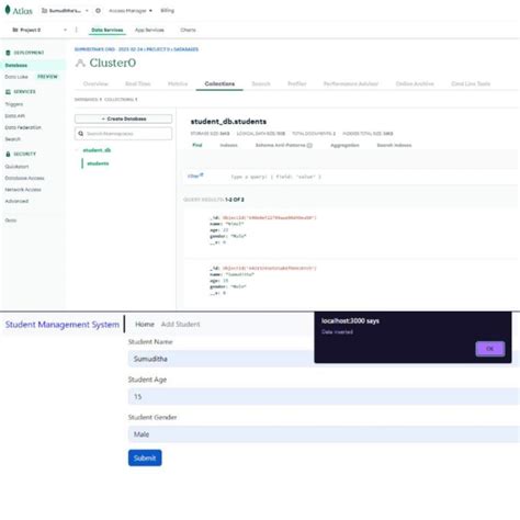 Create A Custom Crud Web App Using Mern Stack By Lanzknight Fiverr