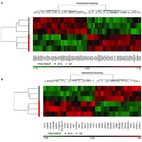 Hierarchical Cluster Analysis Of Gene Expression Patterns The Download Scientific Diagram