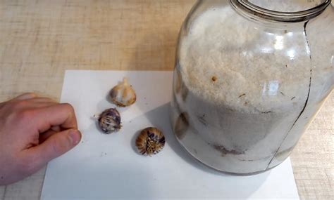 გაიგეთ როგორ უნდა შეინახოთ ხახვი და ნიორი ქალაქის ბინაში