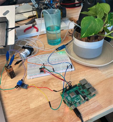 Plant Watering Robot With A Raspberry Pi Tutorial