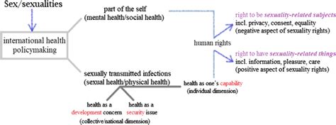 The Differential Traces Of Sexuality Related Human Rights Download Scientific Diagram