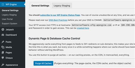 Do You Purge Cache SSW Rules