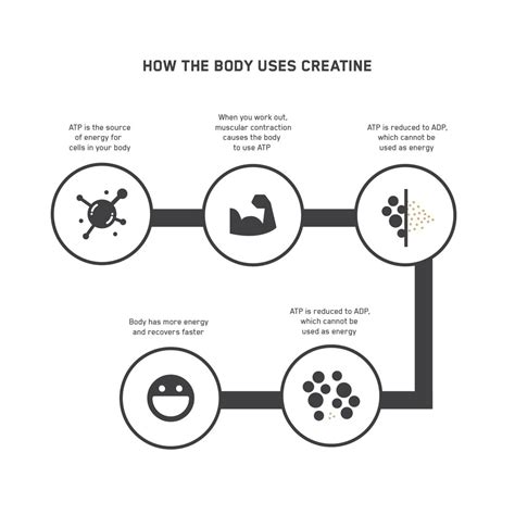 Optimum Nutrition Creatine Capsule G Shopee Philippines