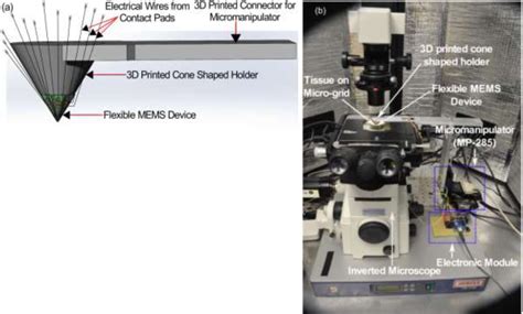 Figure From Design And Fabrication Of A Flexible MEMS Based Electromechanical Sensor Array