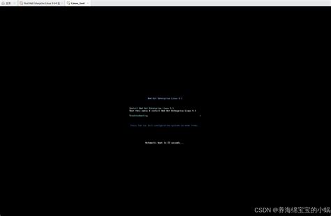 linux虚拟机详细安装教程 linux虚拟机安装教程 csdn博客
