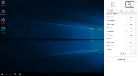 Windows系统安装软件 Fastone 技术手册