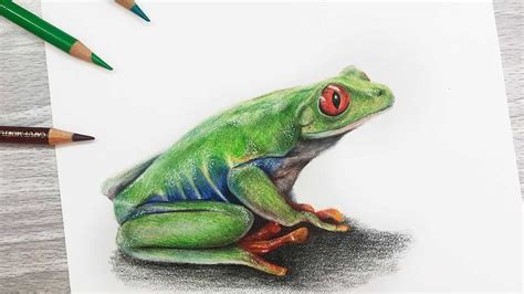 Step By Step Guide On How To Draw A Realistic Frog Vital Frog