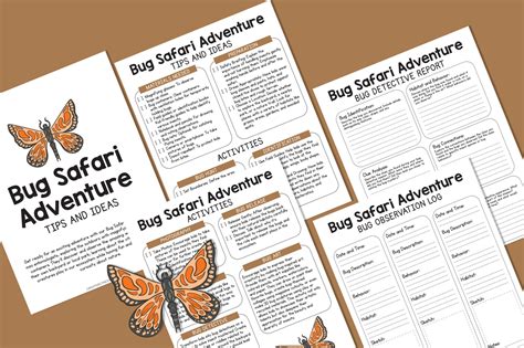 Go On A Bug Safari Creative Cynchronicity