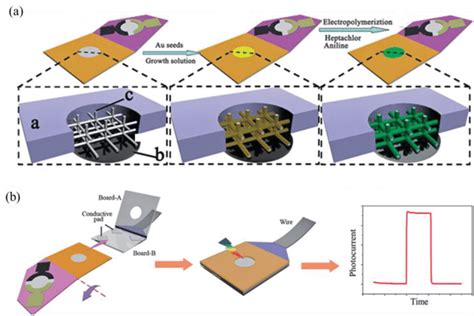 Schematic Representation Of The A Fabrication Procedures And B Assay