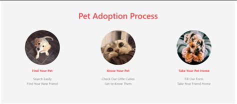 Javascript Typeerror Cannot Read Property Title And Map Of Undefined React Hooks Props