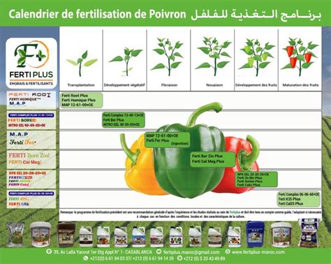 Programme De Fertilisation Ferti Plus Maroc Fertiplus Maroc