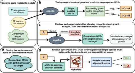 logic programming based minimal cut sets reveal consortium level