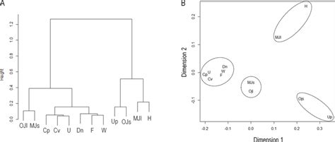 Multidimensional Scaling Analysis Of Syllable Types Hierarchical Download Scientific Diagram