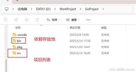 go 安装swagger和go依赖管理 go swag 安装 csdn博客