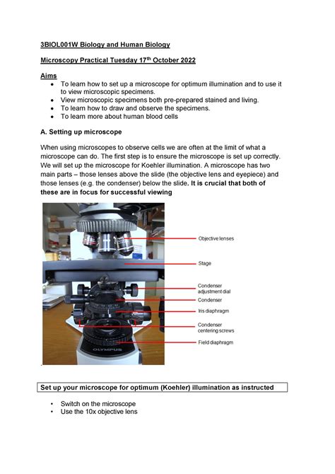 3BIOL001W Practical 1 Microscopy Final 2022 2023 Babes 3BIOL001W Biology And Human Biology