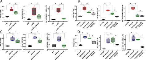 The Impact Of P2x4 Inhibition On Hspc Mobilization For Mobilization Download Scientific Diagram